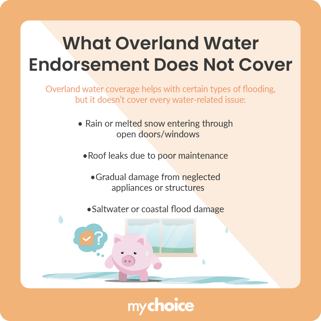 Overland Water Coverage & Flood Insurance Explained | MyChoice