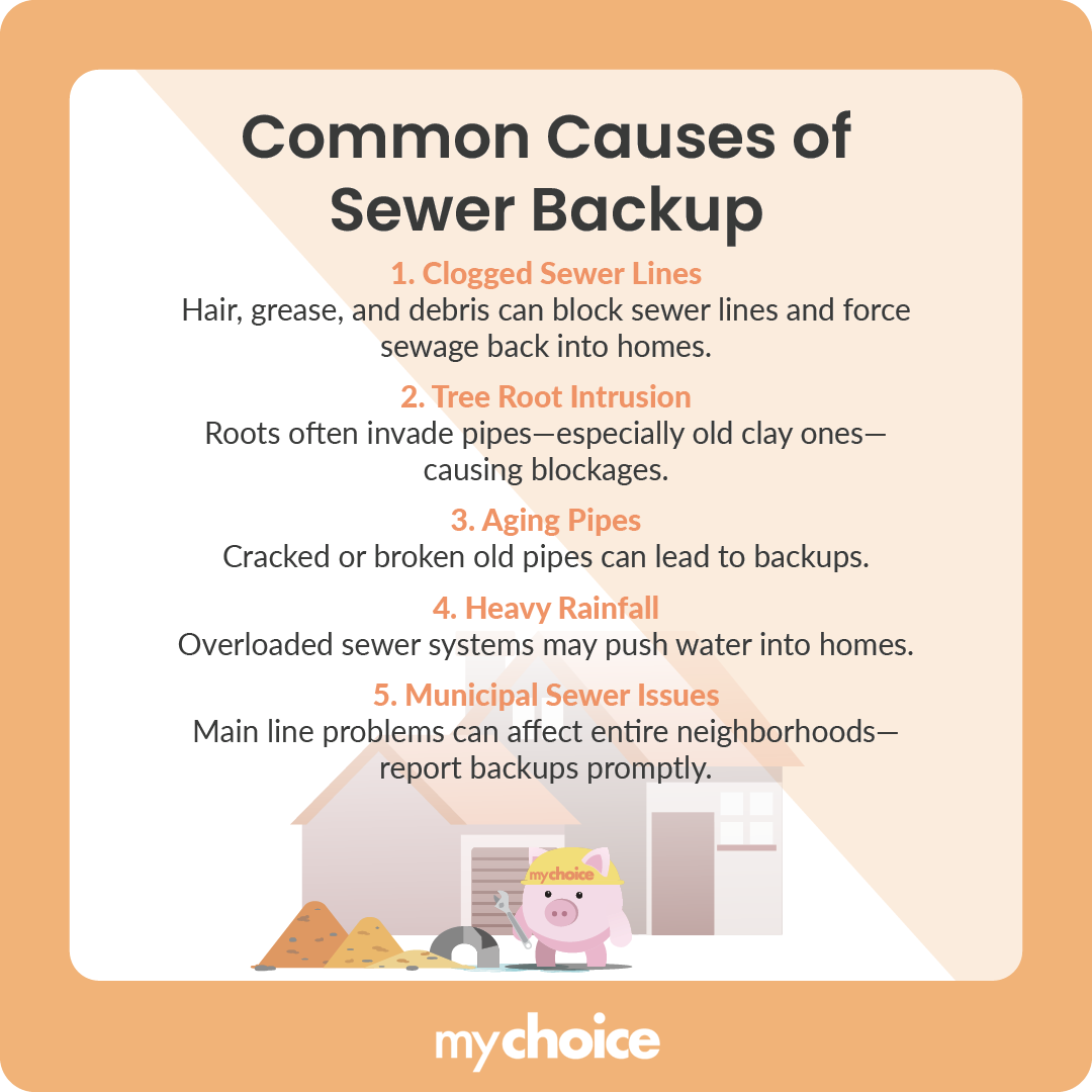 A Guide to Sewer Backup Coverage in Canada | MyChoice