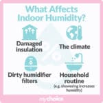What Should the Humidity Be in a House in Winter? | MyChoice